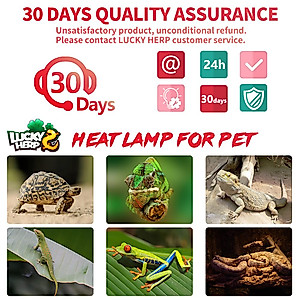 LUCKY HERP Infrared Heat Lamp 100W 2 Pack，Reptile & Amphibian Basking Spot Light Bulbs, Red Heat Lamp Bulbs for Reptiles, Bearded Dragon, Turtle, Lizard, Snake, Chicken