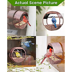 Window Bird Feeder, Desgully Metal Window Bird Feeder, Window Bird Feeders with Strong Suction Cups, Super Adhesive Sheet×4，Large Outdoor Bird Feeder, Bird Watching (Round)