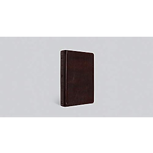 ESV Large Print Personal Size Bible (TruTone, Mahogany)