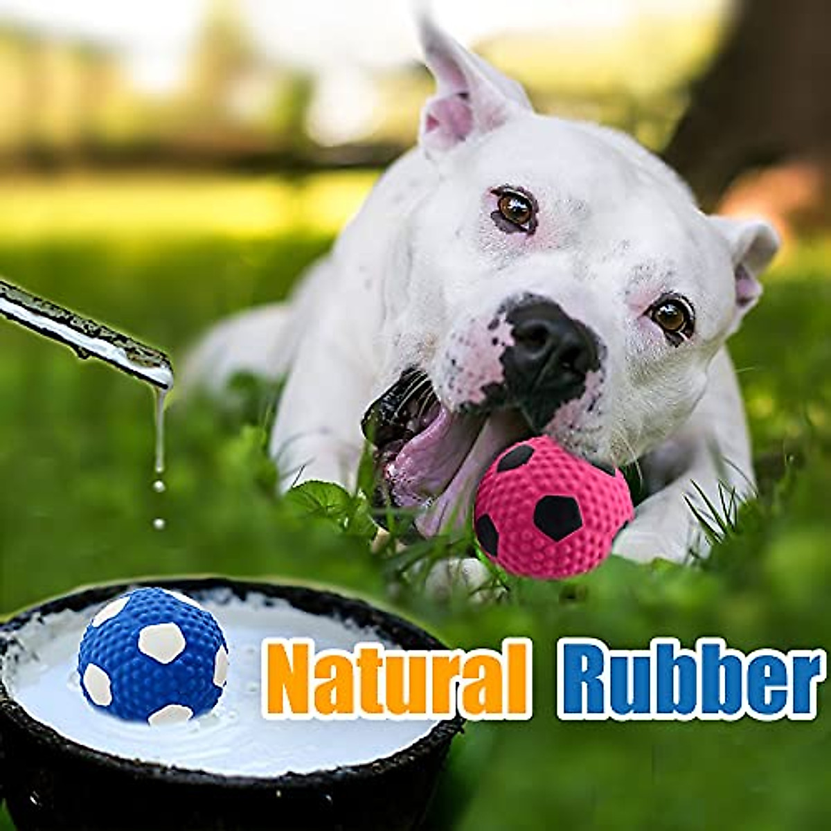 Wieppo Soft Squeaky Dog Ball 2.56”, Latex Squeaky Dog Toys for Medium Dogs and Small Dogs to Fetch, Chase 3pcs