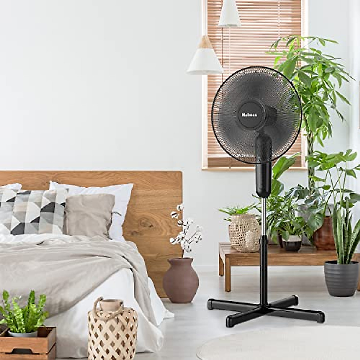 HOLMES 16" Digital Stand Fan, 80° Oscillation, 3 Speeds, 3 Modes, 7.5 Hour Timer, Adjustable Height, 30° Adjustable Head Tilt, Ideal for Home, Bedroom or Office, Remote Control, Black