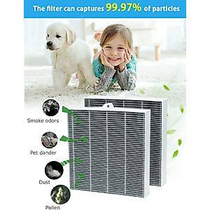 BBT BAMBOOST 5400 ComboFilter Compatible with Blueair DustMagnet 5400 Series, 5410i, 5440i Air Purifier, 2-in-1 HEPA Dustmagnet 5400 ComboFilter, 2 Pack