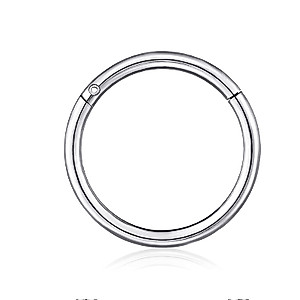 EVISPOL 5Pcs Set 16G Nose Rings 316L Surgical Steel Hinged Nose Ring Hoop Septum Clicker for Women Men Lip Nipple Rings Cartilage Rook Helix Earring Conch Tragus Daith Earrings Piercing Jewelry-10mm