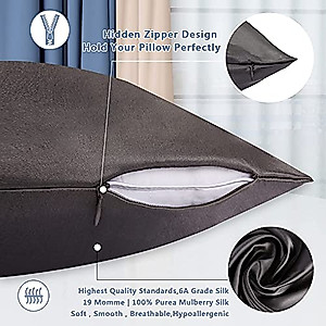 Rillza 100% Pure Mulberry Silk Pillowcase for Hair and Skin, Hidden Zipper (Dark Grey, King 20''x36'', 1 PC), Anti Acne Wrinkle, Soft Smooth, Premium Gift Box, Grade 6A Silk Pillow Case