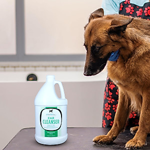 GROOMER ESSENTIALS Ear Cleanser - Gallon