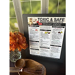 TLC Safety By Design Premium 8.5” x 11” Magnet Toxic Harmful and Safe Foods for Pets Fridge Safety Dogs Cats Poison Emergency Large Format Veterinarian Approved (Qty. 1)
