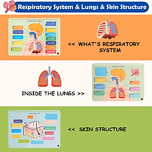 Freebear Montessori Busy Book for Kids, Human Body Anatomy Book for Toddlers, Preshool Kindergarten Learning Activities, Autism Sensory Toys, Travel Toys, Gifts for Girls and Boys 4 5 6 7 8 Years