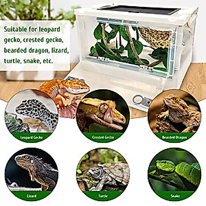 Hamiledyi Foldable Reptile Terrariums Kit, 5PCS Gecko Tank Starter Kits Mini Transparent Lizard Habitat Cages for Iguana, Snake, Bearded Dragon, Tortoise, Chameleon 15.6" x 11.6" x 9.4" White