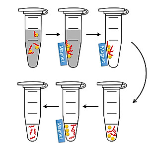 Magnetic Beads for DNA Purification, 100-1000 Base Pairs Range