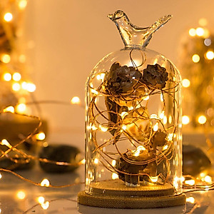 Sanniu Fairy Lights Battery Operated, 2 Packs Mini Battery Powered Copper Wire Starry String Lights for Christmas,Bedroom, Parties,Wedding,Indoor,Home Decoration (5m/16ft Warm White)