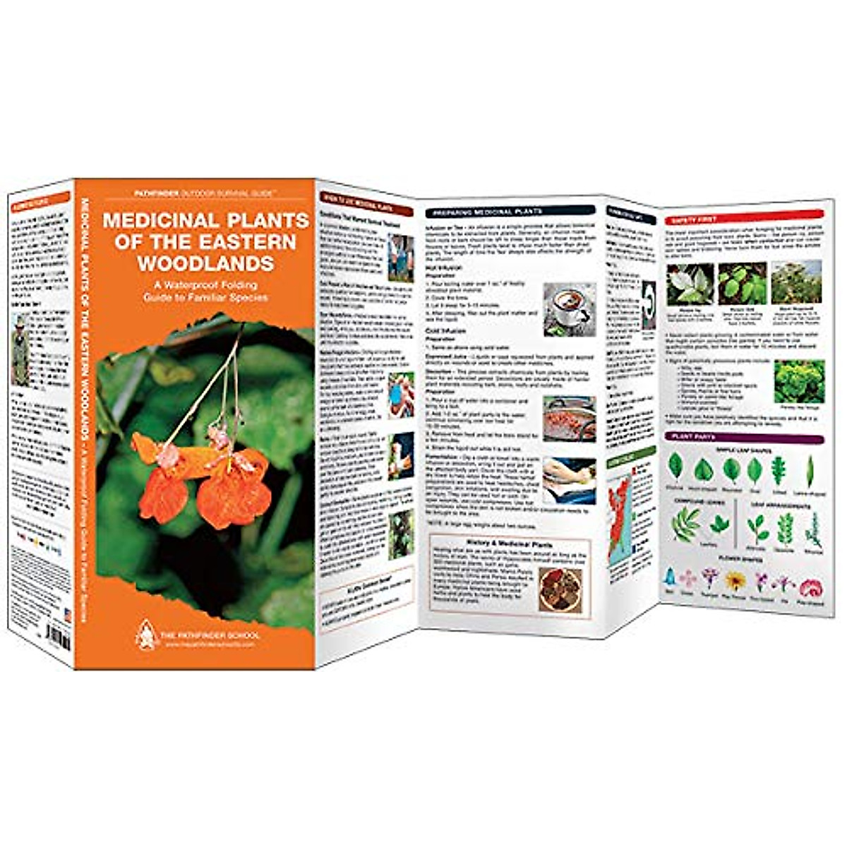 Medicinal Plants of the Eastern Woodlands: A Folding Guide to Familiar Species (Outdoor Recreation and Survival)