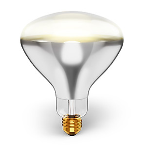 250R40/1 250-Watt, Incandescent R40 Reflector, Clear Head Lamp, Heat Flood Lamp Light Bulb, E26 Standard Medium Screw Base, 120V, 6,000 Hour Rated (Pack of 2-Clear-Heat Lamps)