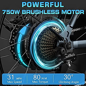 Fucare Electric Bike,Gemini/Gemini X Dual Battery 20.8AH(30AH) 750W 48V,Electric Bike for Adults,31MPH Max Speed,70-80(100-120) Miles,5.3" Display,Shimano 7 Speed,20''×4.0'' All Terrain Electric Bike