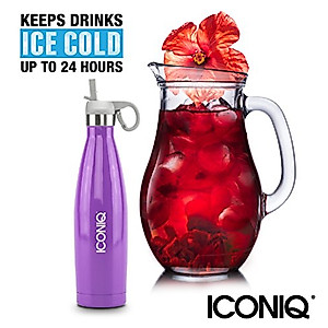 ICONIQ 17 oz Stainless Steel Vacuum Insulated Water Bottle with Pop Up Straw Cap, 17 Ounce (Gloss Purple/Gray)