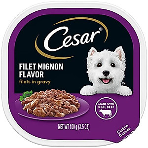 CESAR Adult Soft Wet Dog Food Filets in Gravy, Filet Mignon Flavor, 3.5 oz. Tray