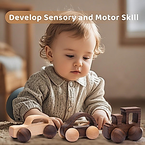 3PCS Wooden Baby Toys,Baby Grasping Toys Push Car Toys Montessori Toys Wooden Toy Vehicles,#2