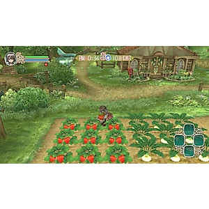 Rune Factory: Frontier - Nintendo Wii
