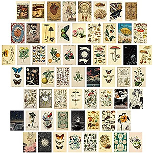 60 Pieces Vintage Wall Collage Kit Botanical Illustration Tarot Aesthetic Print Vintage Style Wall Pictures Vintage Cards Photo Wall Collection Aesthetic Collage Dorm Bedroom Decor for Teen Boys Girls