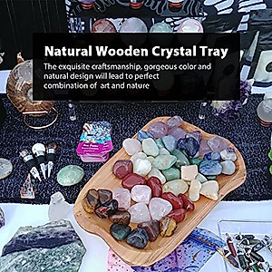 Hurricom Root Wood Dish,Vintage Ring Dish Hand Carved Artworks - 11-12 inch,Oval Shape Party Platter and Tray for Sandwich Bread Serving, Appetizer Display,