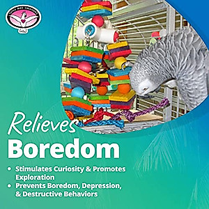 Super Bird Creations SB440 4 Way Play Bird Toy with Colorful Wooden Blocks & Ringing Bell, Large Bird Size, 15” x 7” x 7”