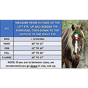 EquiVizor 95% UV Eye Protection (Full) Standard Horse Fly Mask - Help with Uveitis, Corneal Ulcer, Cataract, Light Sensitivity, Cancer. Designed to Stay On Your Horse, Off The Ground!