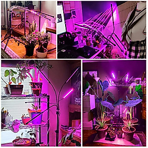 Garpsen Grow Light with Stand, 5 Heads Grow Lights for Indoor Plants, 100 LEDs Full Spectrum Led Plant Light for Seed Starting, with Clip&15-63" Adjustable Tripod&6/12/16H Timer