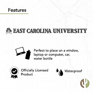 Desert Cactus East Carolina University Pirates ECU Name Logo Vinyl Decal Laptop Water Bottle Car Scrapbook (15 Inch Sticker)