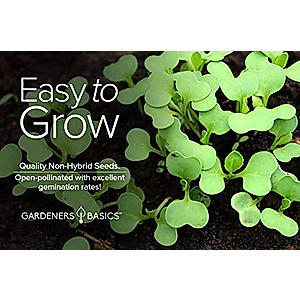 Bok Choy Chinese Cabbage Seeds for Planting - (Pak Choi) Heirloom, Non-GMO Vegetable Variety- 1 Gram Seeds Great for Summer, Spring, Fall and Winter Gardens by Gardeners Basics