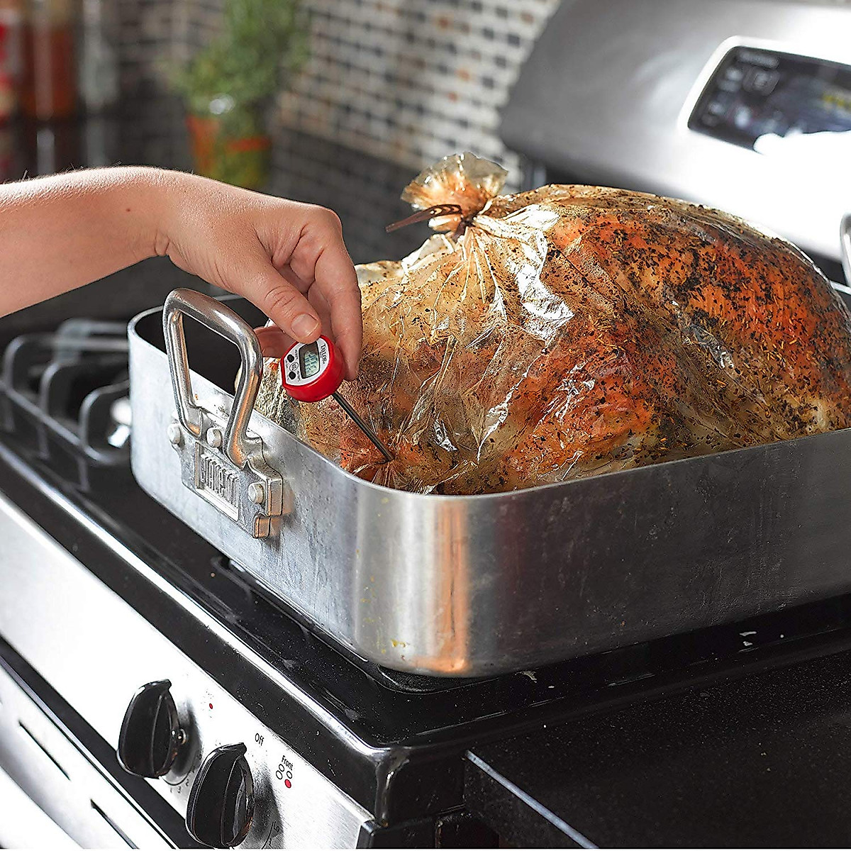 Reynolds G10510 Oven Bag, No Size