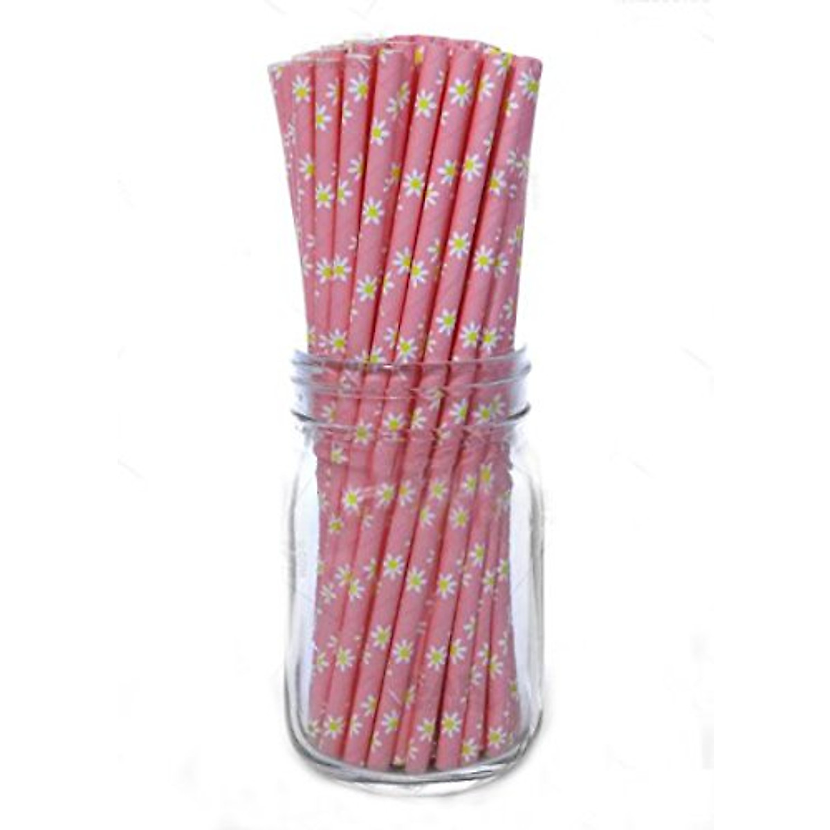 BarConic® Paper Straws - Daisy - 100 pack