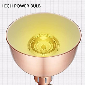 FXJ Food Warmer Lamp, 250W Commercial Food Warmer, Retractable Hanging Food Heat Lamps Heating Lamp, for Food Service Restaurant Catering Supplies (G) (C)