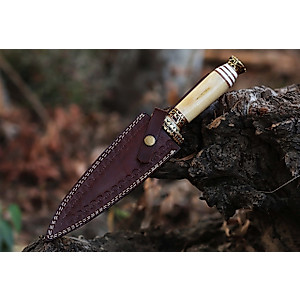 12.5 Inch long Hunting knife, Collectible knife, Natural Camel bone scale embellished with engraved brass finger guard, foil work spacer and pommel, Hand forged Twist pattern Damascus steel blade, Comes with Leather sheath