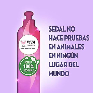 Sedal Liso Perfecto con proteina Hidrolizado 300 ml [SEALED]