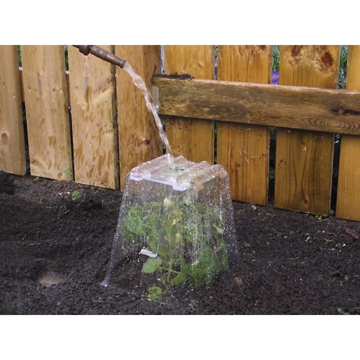 BOTARO GRO-Caps Reusable Plant Covers (30 Pack) Plant Protection from Frost, Cold Weather, Garden Insects, Pesticides, Rodents & Rabbits for All Your Plants, Vegetables & Flowers. Grow Organic