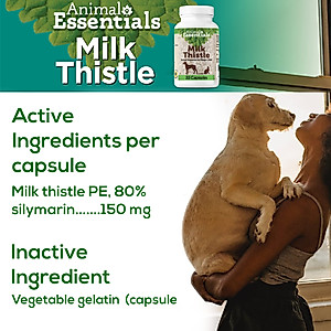 Animal Essentials Milk Thistle Liver Support for Dogs and Cats, 30 Capsules - Made in USA Liver Supplement