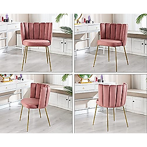 DM Furniture Velvet Dining Chairs Set of 2 Modern Accent Chair Upholstered Side Chair with Gold Metal Legs for Home Kitchen Living Room, Pink