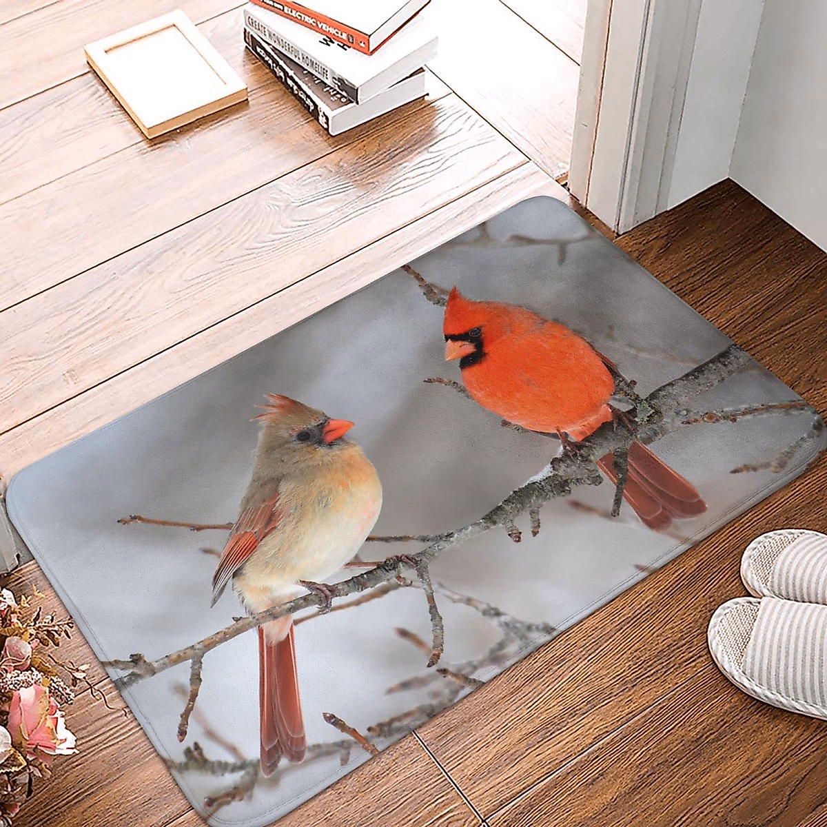 Bath Rugs Cute Cardinal Birds Standing on Branches Door Mat Outdoor Winter Birds Natural Design Doormat Non Slip Absorbent Bathroom Rug Carpet for Home Entrance Kitchen 16x24in