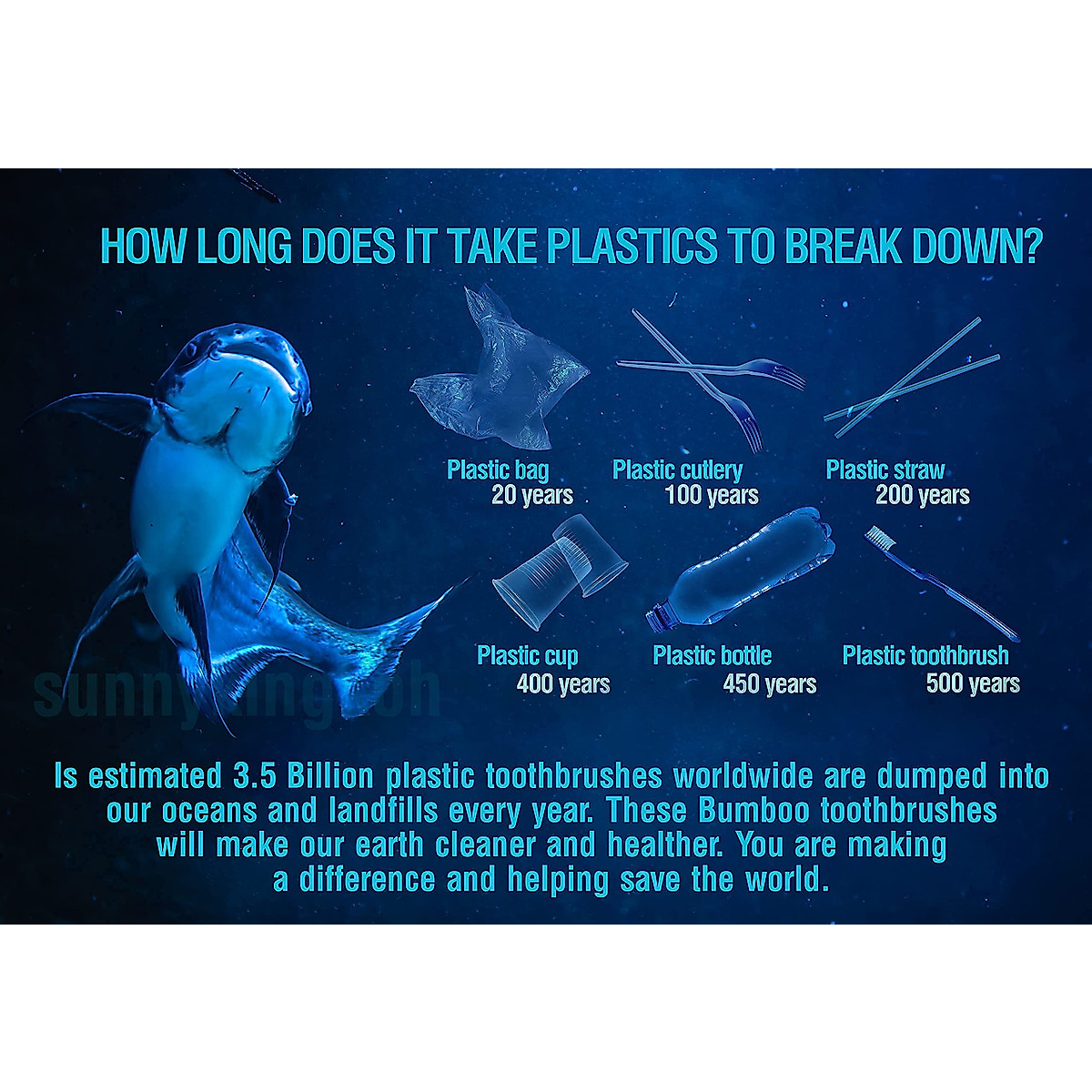 EveEco 12 Count I Bamboo Toothbrush I Soft Bristles Best for Sensitive Gums I Charcoal I Vegan I Natural Wood I BPA Fee I Recyclable I Compostable I Biodegradable | Environmentally Friendly