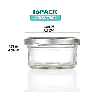 Delove [16 Pack] Glass Salad Dressing Container To Go, 2.5oz Small Condiment Containers with Lids, Reusable Sauce Cups Containers, Leakproof Screw Lids for Lunch Bento Box, Picnic and Travel