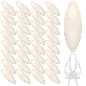 40 Pcs Cuddle Bone Cuttlefish Bone 3.0" to 3.5" Cuttlebone for Birds with 1 Parakeet Cuttlebone Holder Bird Cage Food Clip, Parakeet Toys Chew Toy for Birds Parrots Cockatiels Budgie Snails Reptiles