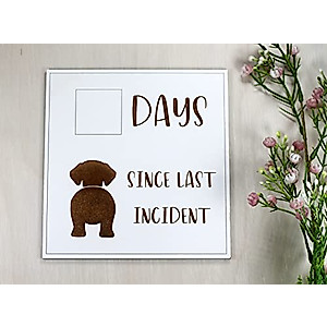 Funny Whiteboard Sign, Days Since Last Incident (Dog)
