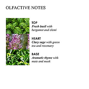 Molton Brown Refined White Mulberry Hand Lotion 10 fl. oz.