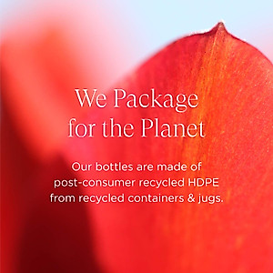 Intelligent Nutrients Shine Bright Moisture Mask (4 oz)