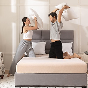 AIKOFUL Luxury Goose Feathers Down Pillows for Sleeping Queen Size Bed Pillows,100% Cotton 1000 Thread Count (Queen-1 Pillow)