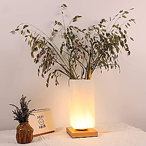 Floresita Vase Lamp Table Lamp USB Charge Flower Lamp Vase Table Lamp Dimmable Bedside Lamp Frosted Glass Shade with Wood Base for Bedroom Living Room Office Desk