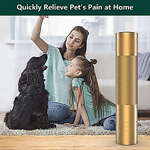 iKeener Vet Device for Pets,Red Light Therapy for Pain Relief,Muscle & Joint Pain from Dog Arthritis,Handheld Infrared Light with 660nm & 850nm Wavelengthsm for Dogs,Cats,Horses (Gold)