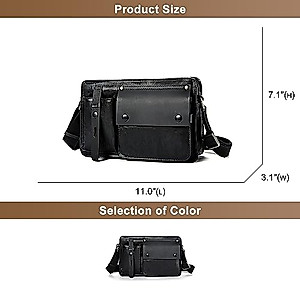 Men's Small Crossbody Shoulder Bag Multi-Pocket Satchel Bags Genuine Leather Business Commuting Messenger Bag (Black)