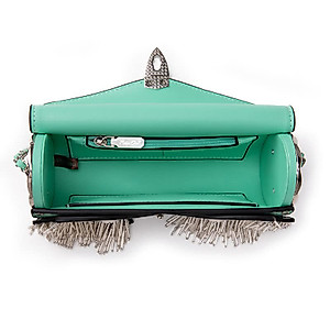 Designer Purse Owl Glitter Purse Beaded Fringe Crossbody Bags for Women Chain Shoulder Bag MC-1028GN