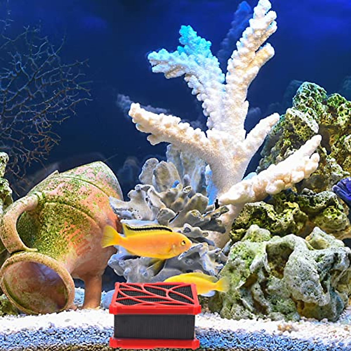 1pc Filter Charcoal Tool for Cleaner Home Pond Absorption Ponds Accessory Cube: Honeycomb Cubes Odor Purifier Carbon Use Purifying Tank Aquarium Remover Fish Water