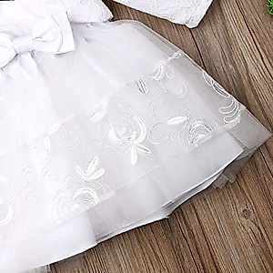 Cudilica Newborn Baby Girls Christening Princess Long Sleeve Tulle Lace Dress Skirts Shawl Hat 3Pcs Infant Clothes Sets (White, 0-3 Months)